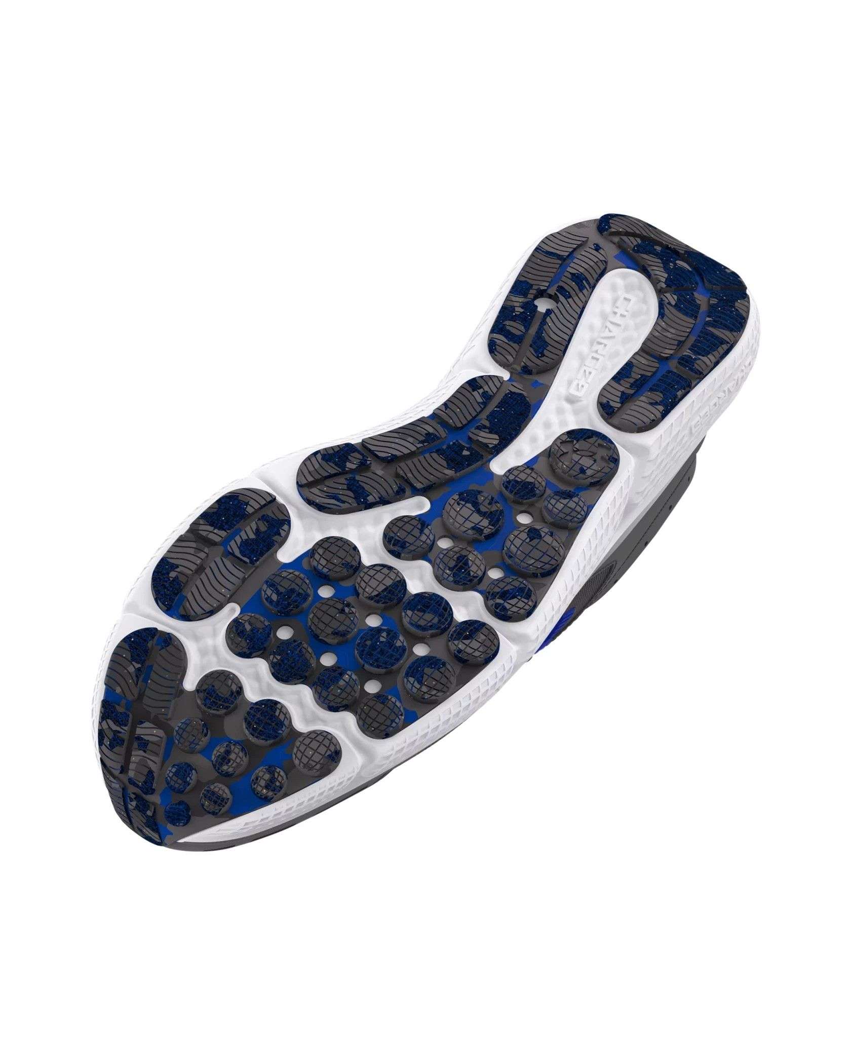 Order Online UA Charged Assert 10 From Under Armour India | Buy Now